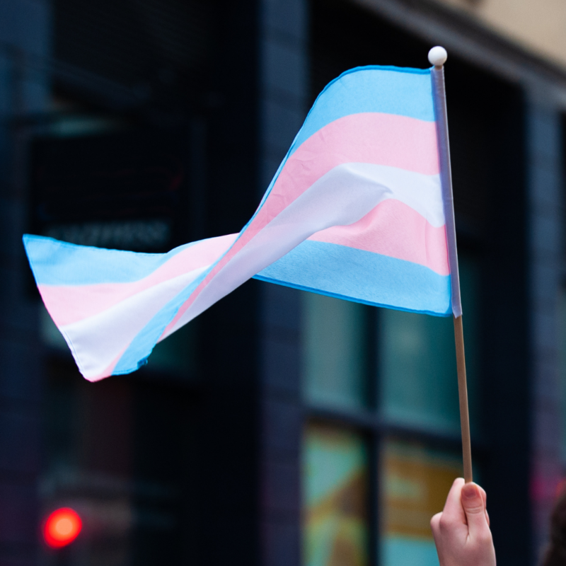 Trans Justice Project