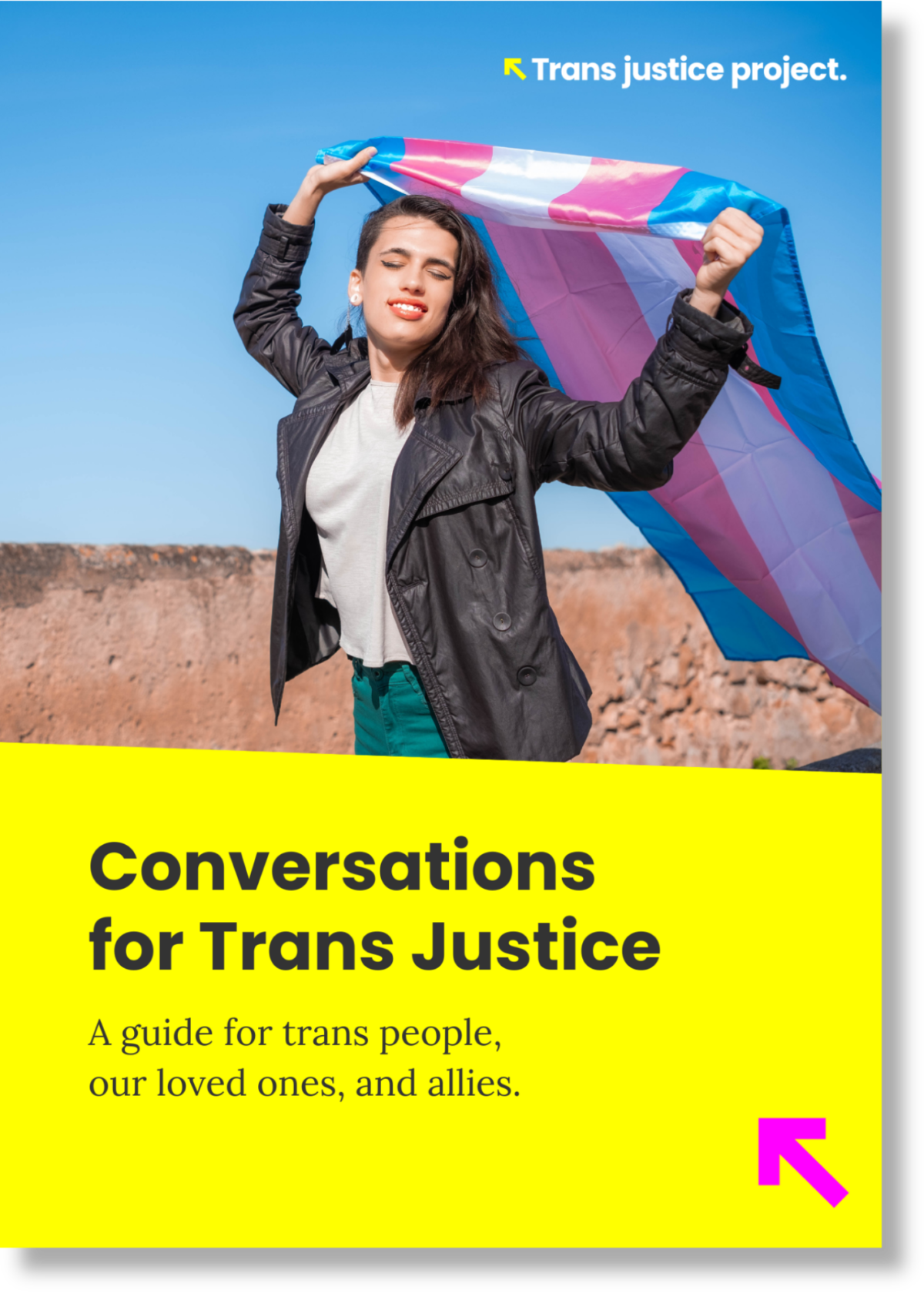 Conversations for Trans Justice - Trans Justice Project
