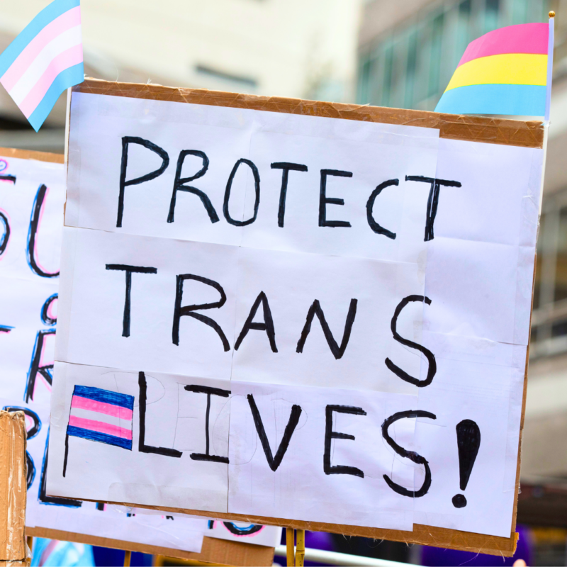 Trans Justice Project